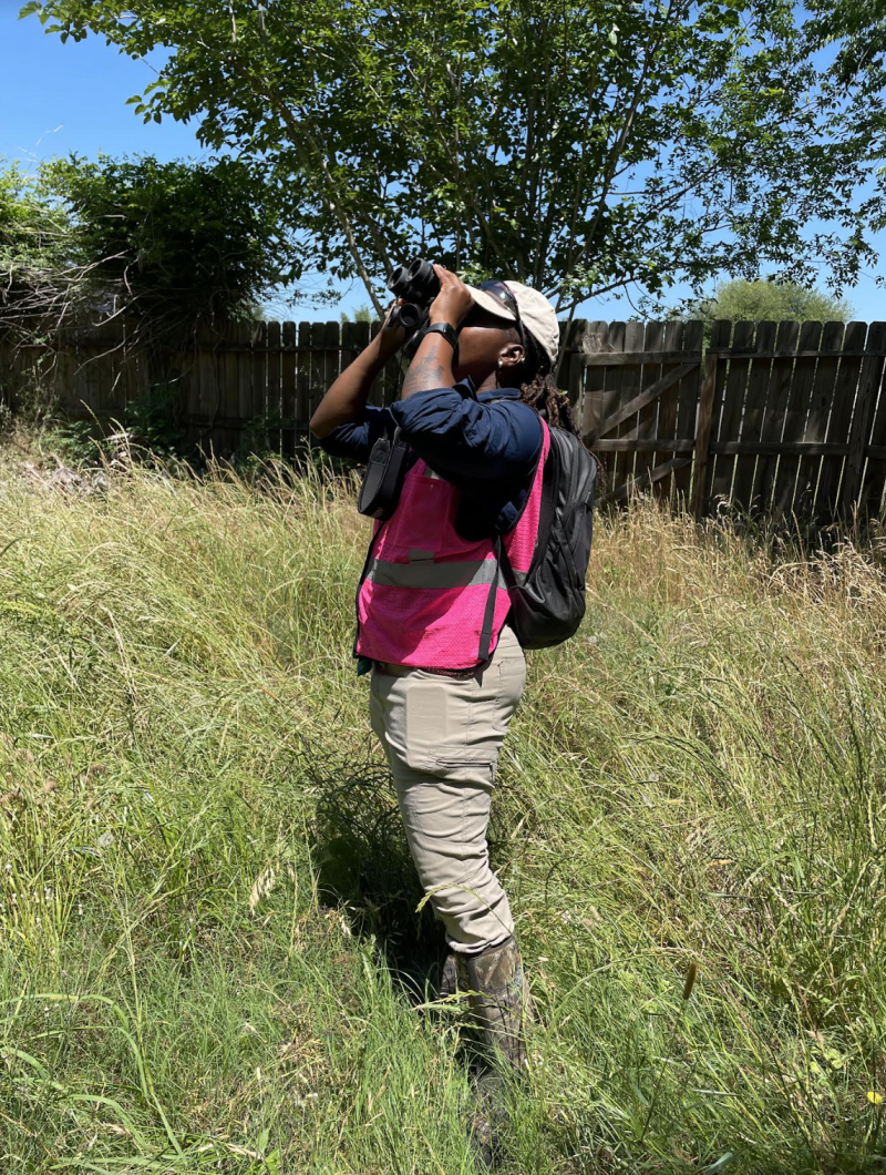 Phase 1 Environmental Site Assessments (Phase I ESAs)